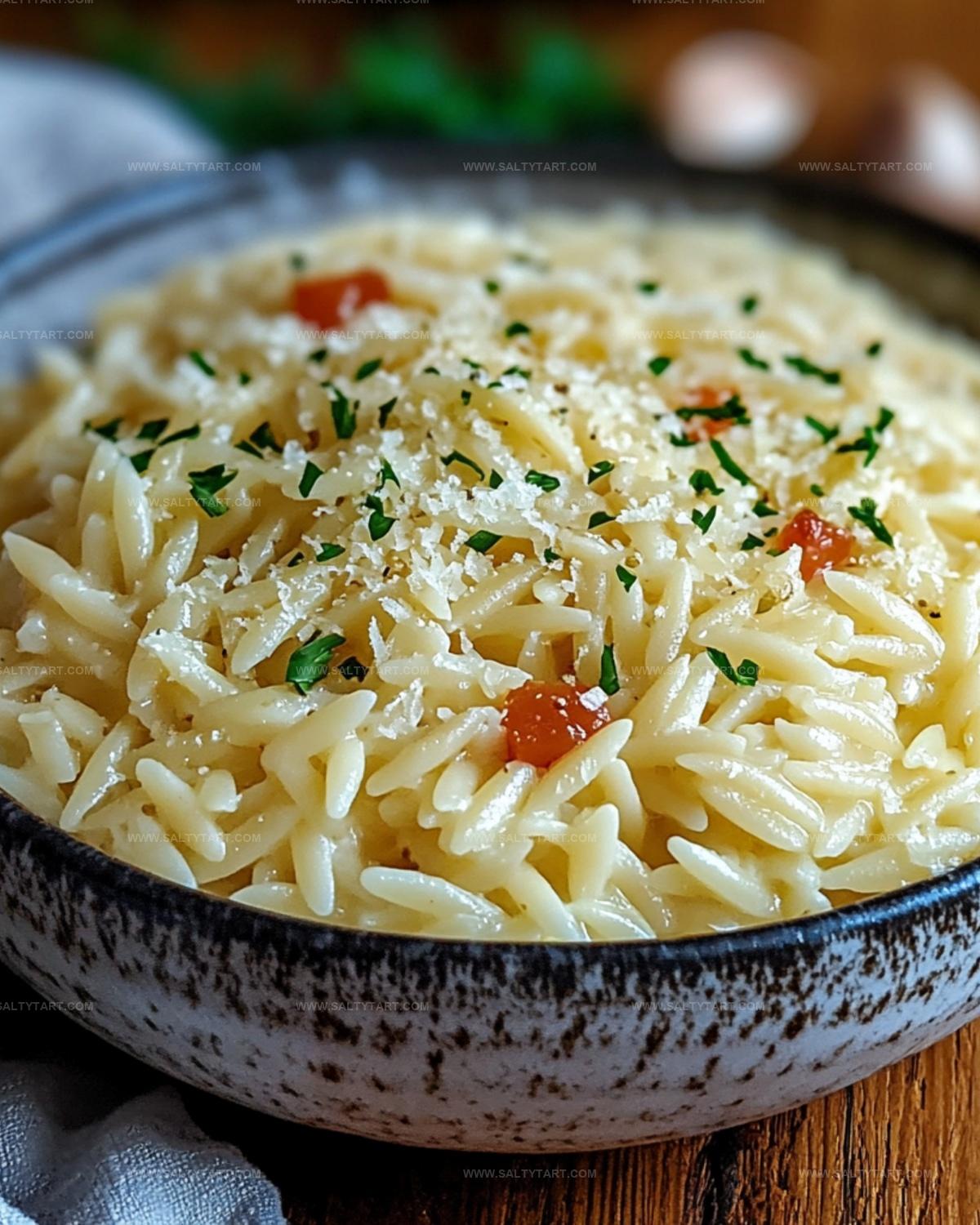 Creamy Garlic Parmesan Orzo Recipe: A Cozy Comfort Classic - Salty Tart